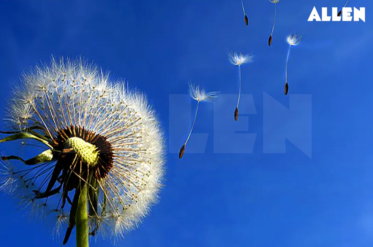 True Fruit, Classification and FAQs