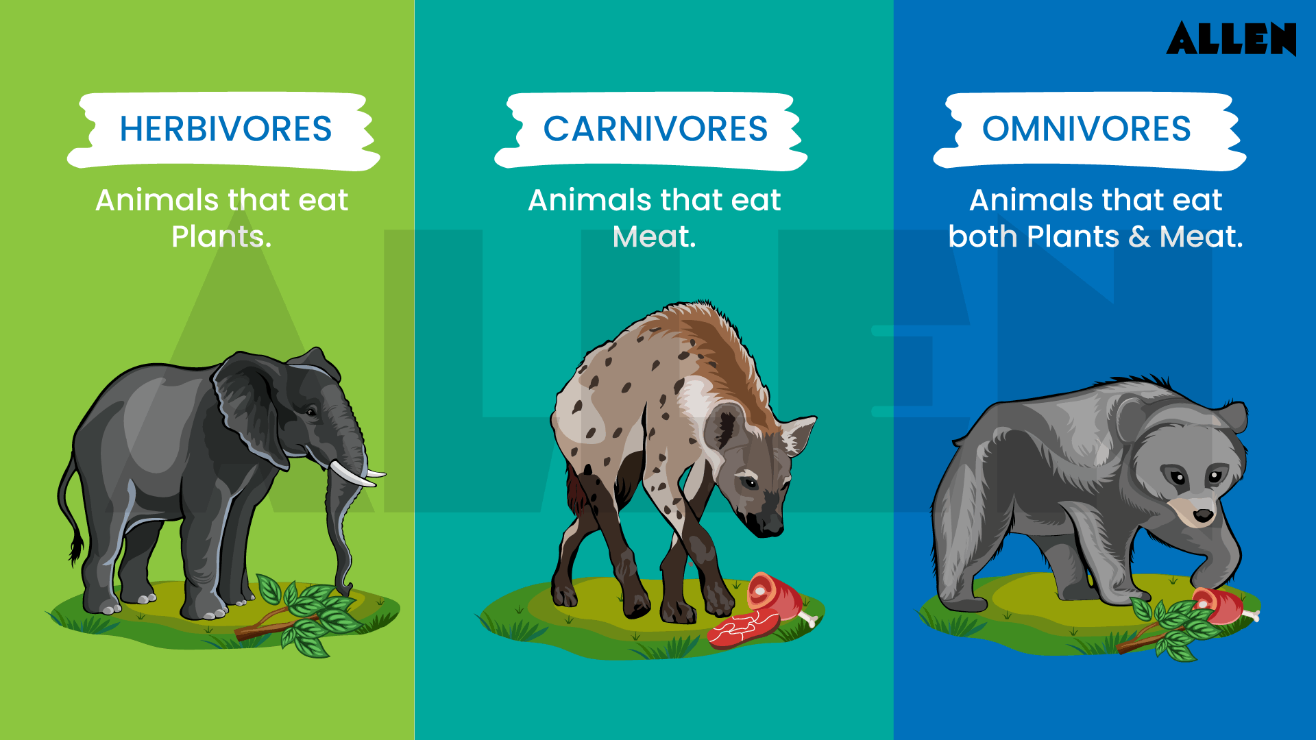 Food: Functions, Sources and Wastage of Food.