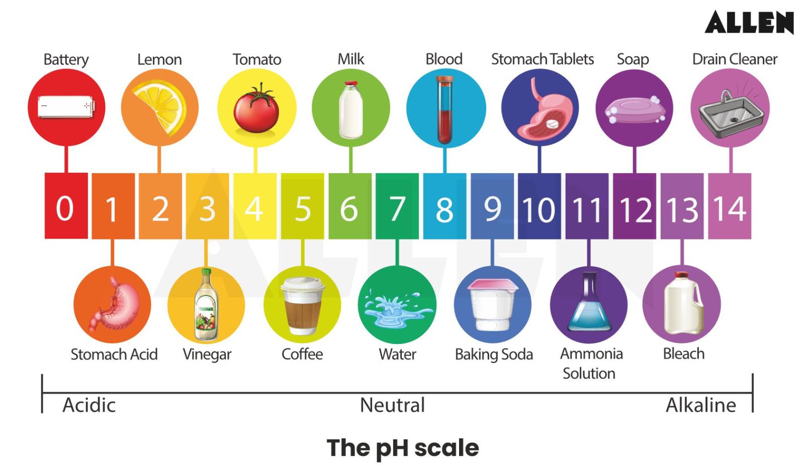 pH and pH Scale: range, Properties and Examples