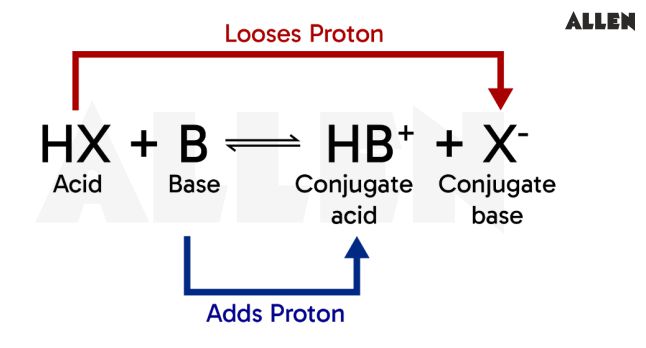 Acidity and Basicity- Concepts, Acidic and Basic Strength of organic ...