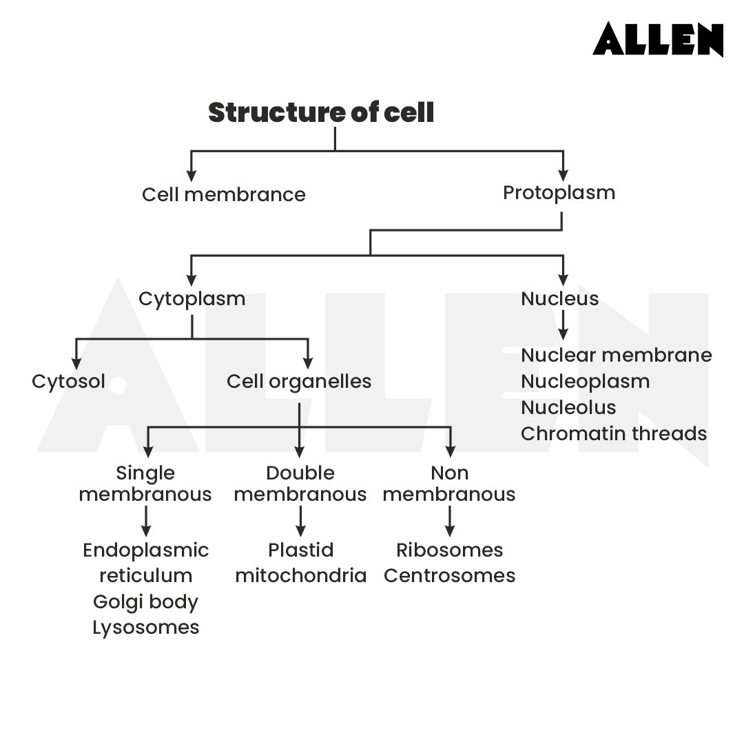 CBSE Notes for Class 9 Science Chapter 5 – Fundamental Unit of Life