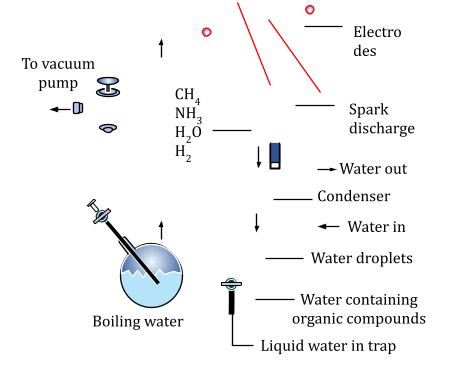 Origin of Life: Top Theories Explained