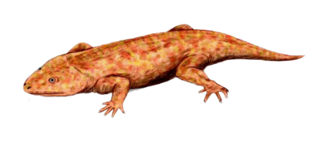 Origin of Life: Top Theories Explained