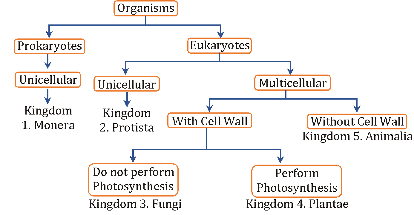 Biological Classification| The Organization of Life's Diversity