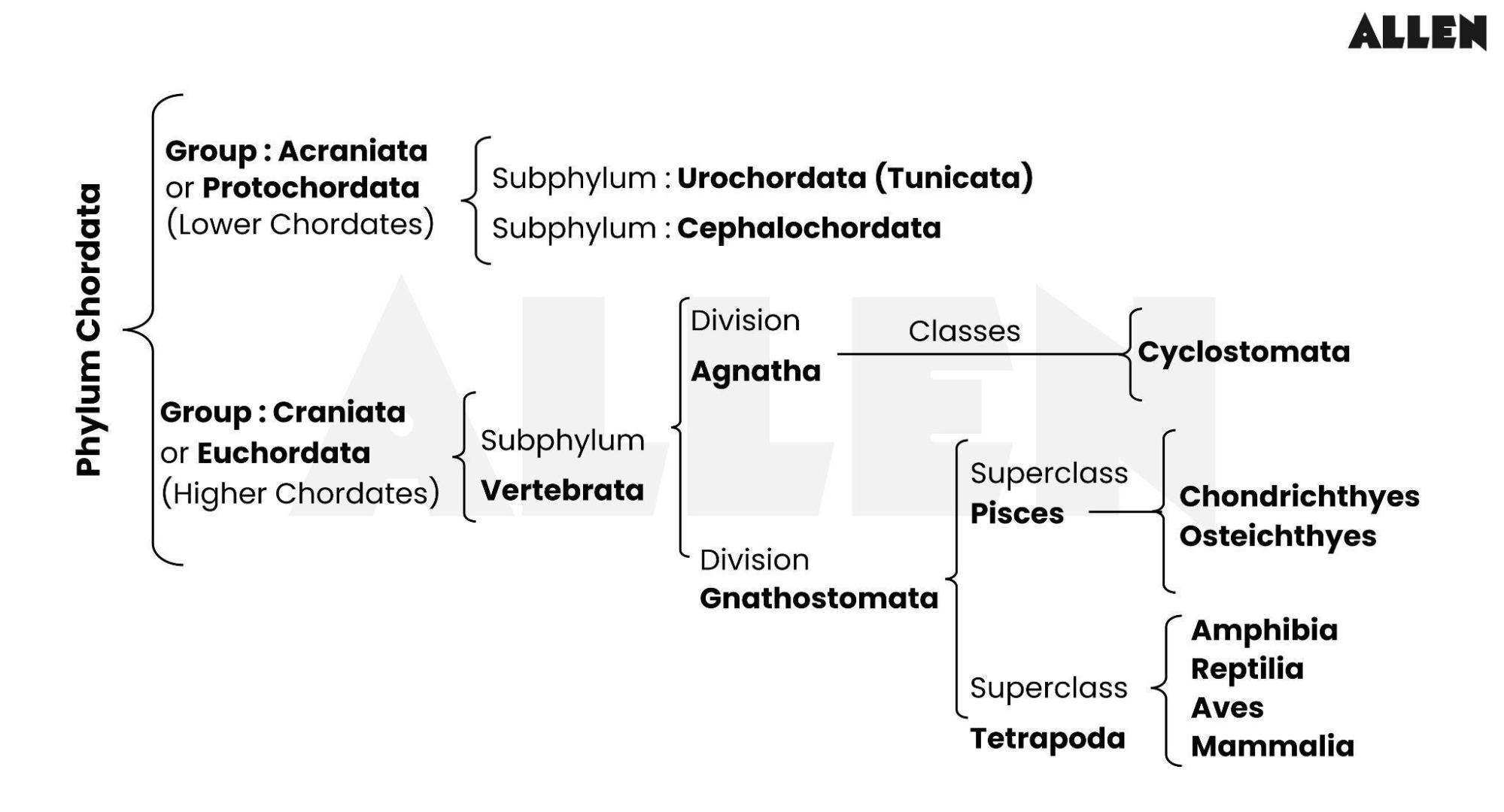 Animal Kingdom: Definition, Classification and Important NEET Questions