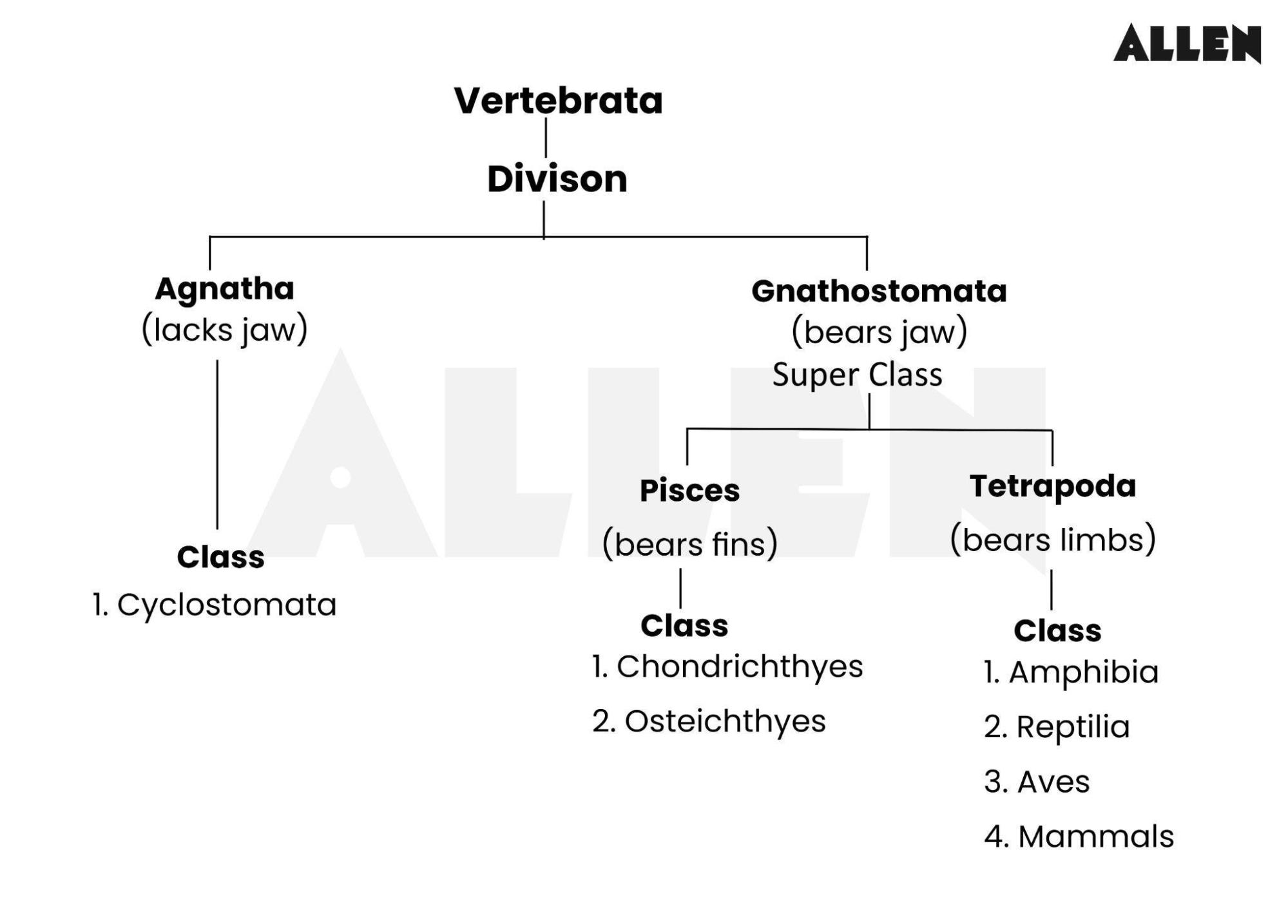 Animal Kingdom: Definition, Classification and Important NEET Questions