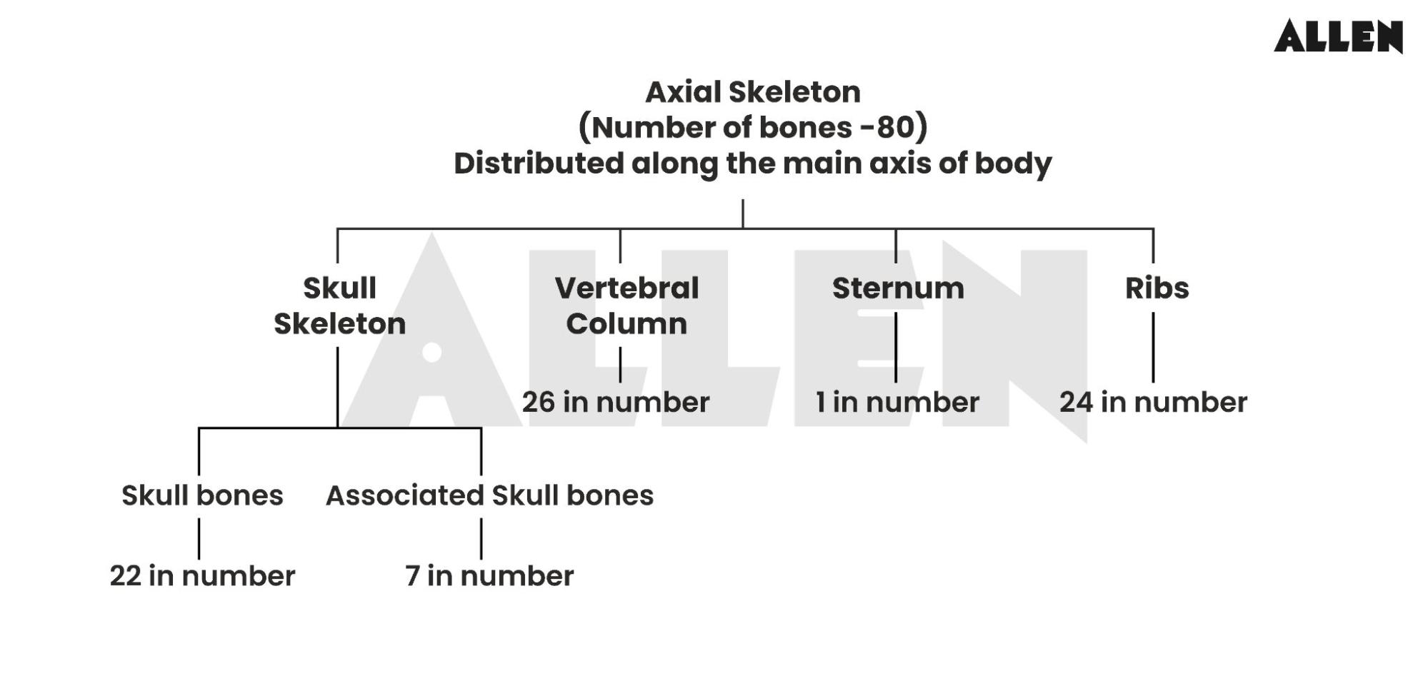 Locomotion and Movement: Types of Movements, Skeletal System and Disorders