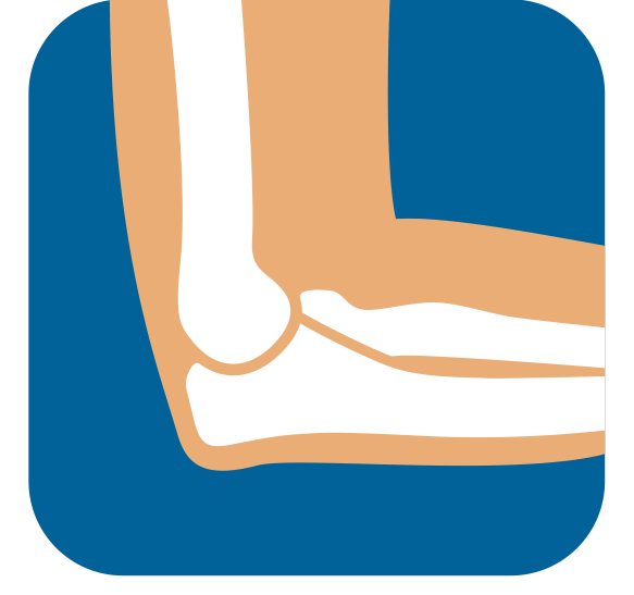 Understand Joints: Movement & Types (Fibrous, Cartilage, Synovial)