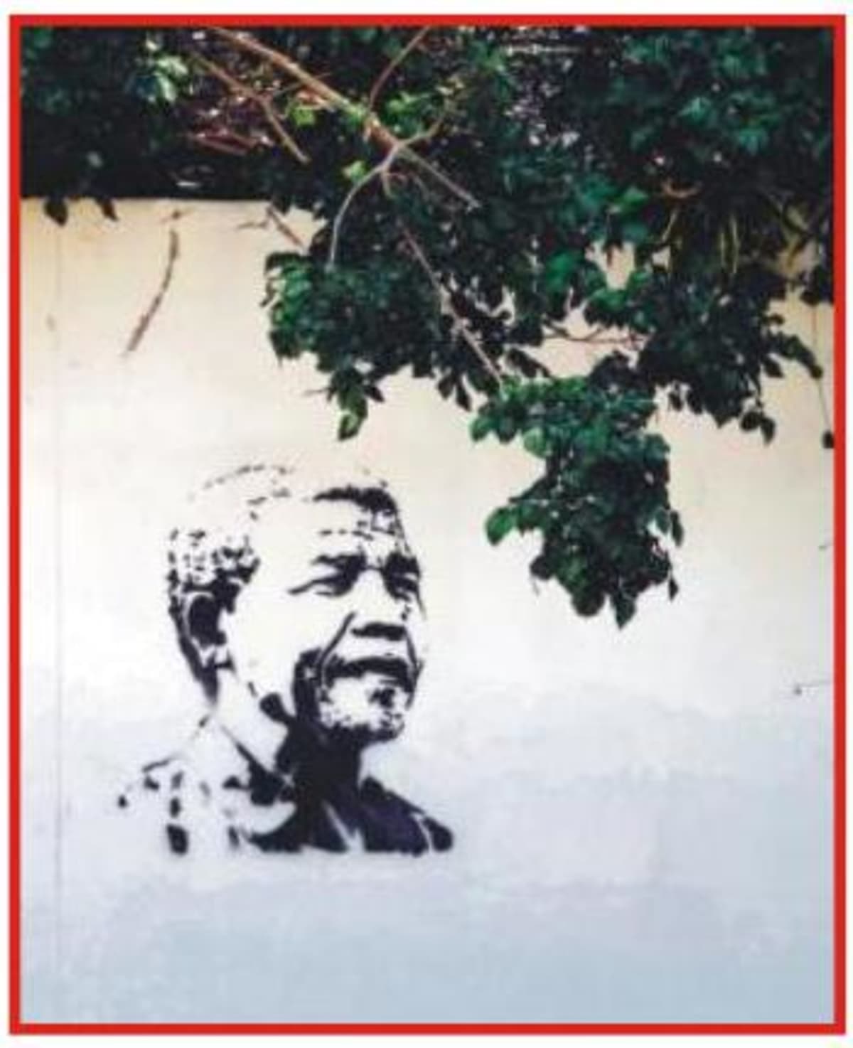 Nelson Mandela: Long Walk to Freedom