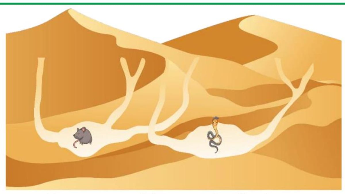 The Living Organisms: Understanding Their Characteristics and Habitats