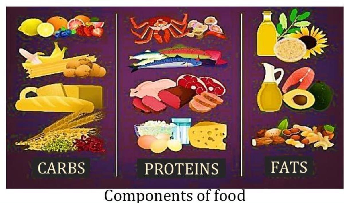 Components of Food: Essential Nutrients for Growth and Health