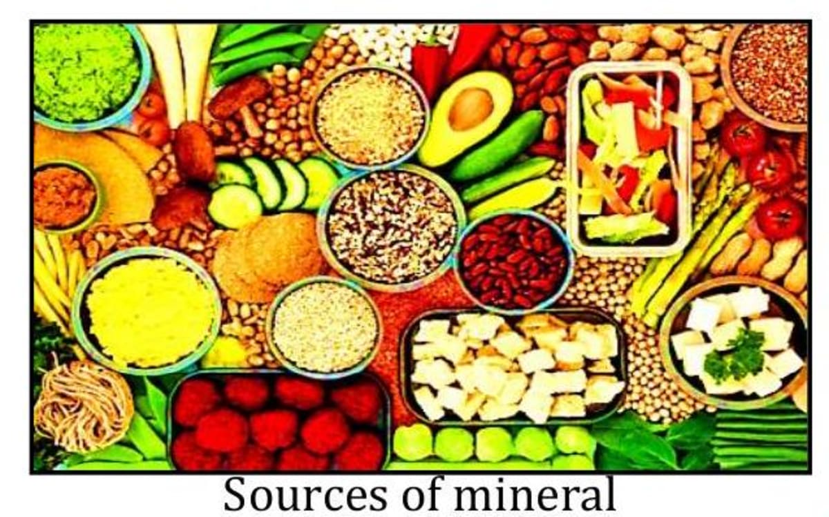 Components of Food: Essential Nutrients for Growth and Health