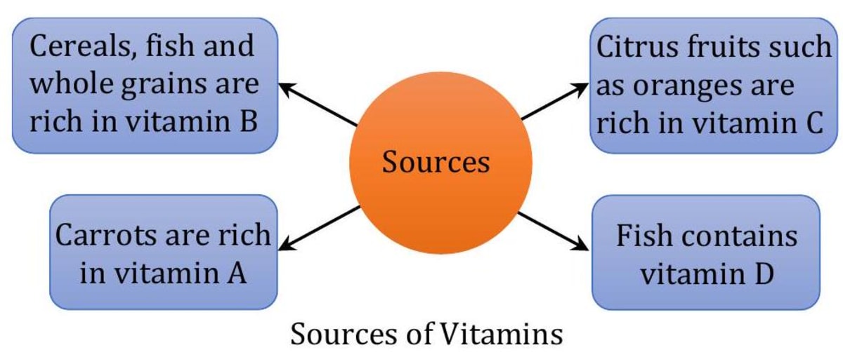 Components of Food: Essential Nutrients for Growth and Health