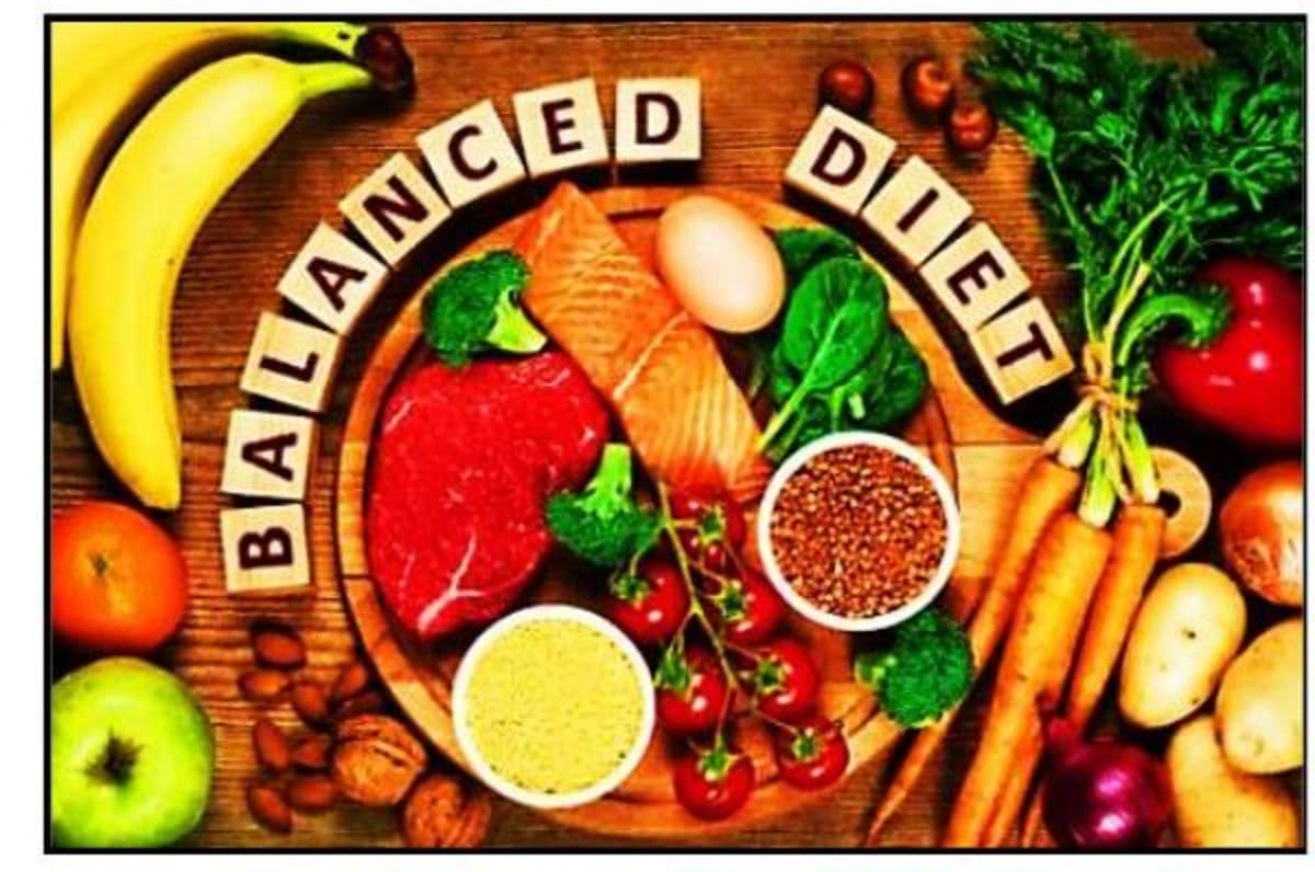 Components of Food: Essential Nutrients for Growth and Health