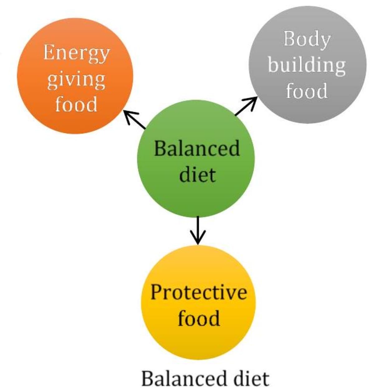 Components of Food: Essential Nutrients for Growth and Health