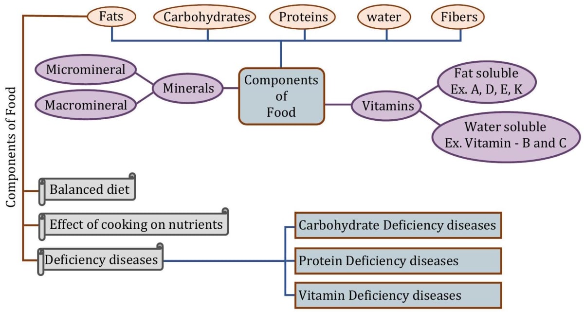 Components of Food: Essential Nutrients for Growth and Health