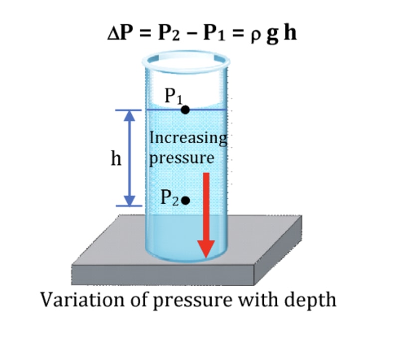 Relative Density| Its Principles, Complete Concept with Examples