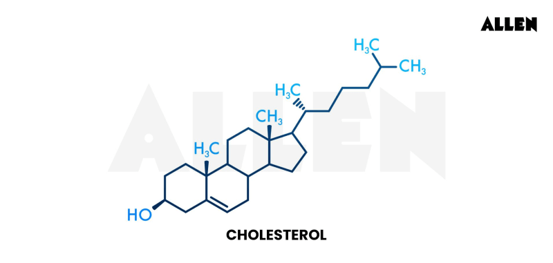 Cholesterol| Types, Functions, Levels, and Causes of High Cholesterol