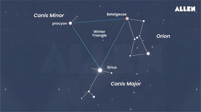 Stars| Types, Life Cycles, and Fascinating Constellations Explained