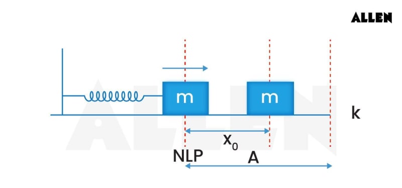 Introduction to Oscillations and Waves: Concepts, Types, and Key Principles