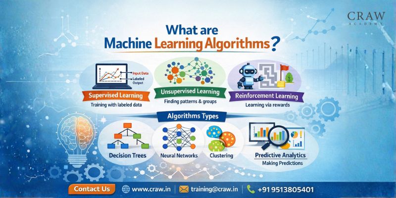 What are Machine Learning Algorithms?