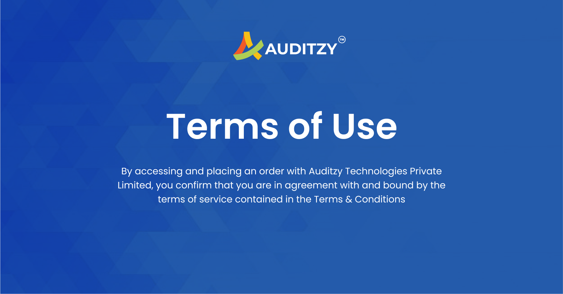 Terms of Use | Auditzy