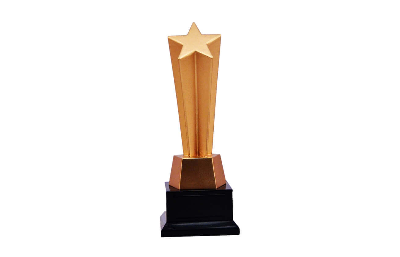 Long One Star trophy | Trophy House Egypt