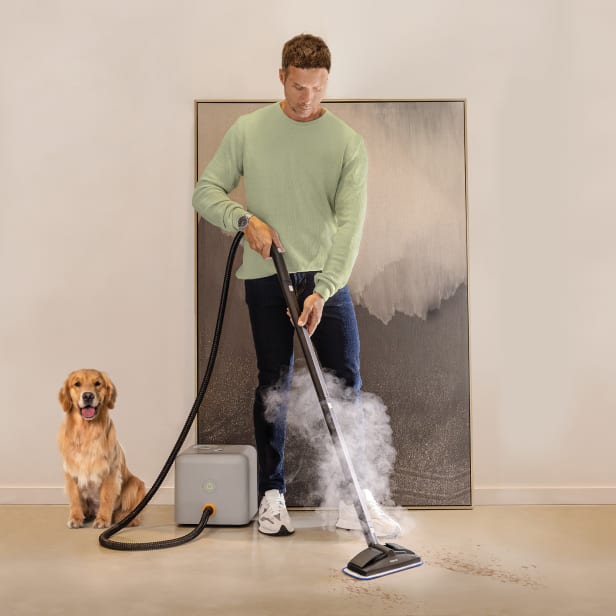 Best Steam Cleaners, Air Purifiers and Spot Cleaners | Dupray US
