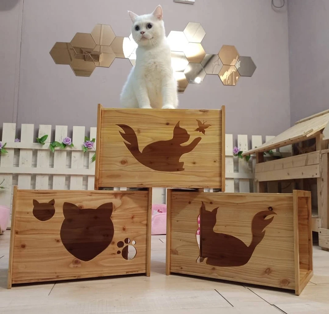 Stayfur | Instant Booking for Pet Hotels in Malaysia