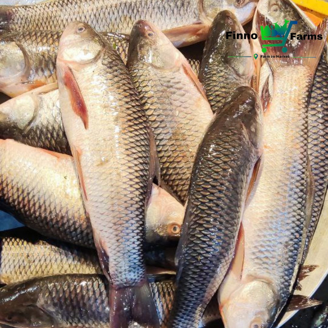 FinnoFarms