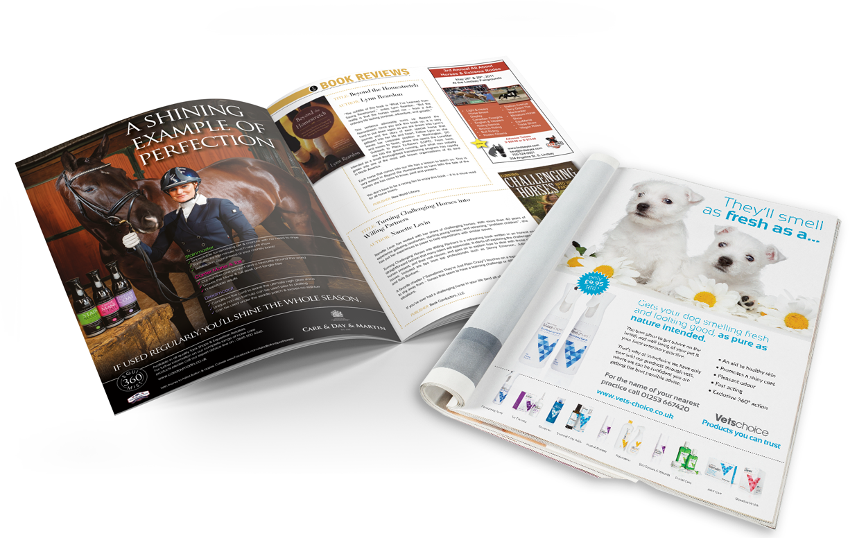 Magazine Advertising Agency - Preston, Lancashire | Piranha Digital