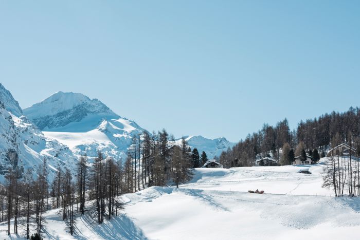 Schneeschuhwandern in Sils-Maria - Fextal - Baumeler Reisen, weltweite ...