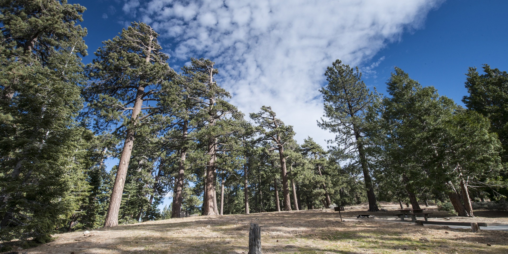 Table Mountain (Angeles) Campground | All You Need to Know