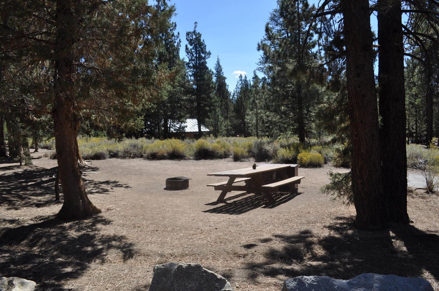 Serrano Campground | All You Need to Know
