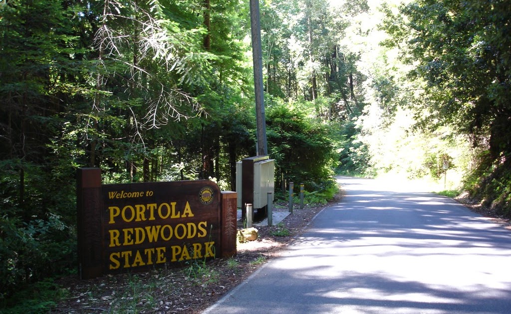 Portola Redwoods State Park Campground | All You Need to Know