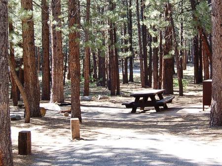 New Shady Rest Campground | All You Need to Know
