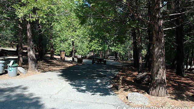 Doane Valley Campground (Palomar Mountain SP) Campground | All You Need ...