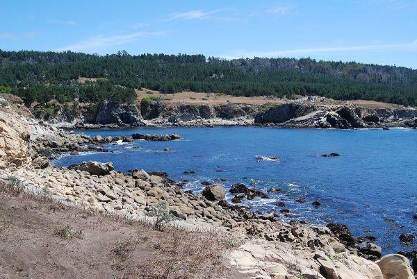 Salt Point State Park Campground | All You Need to Know