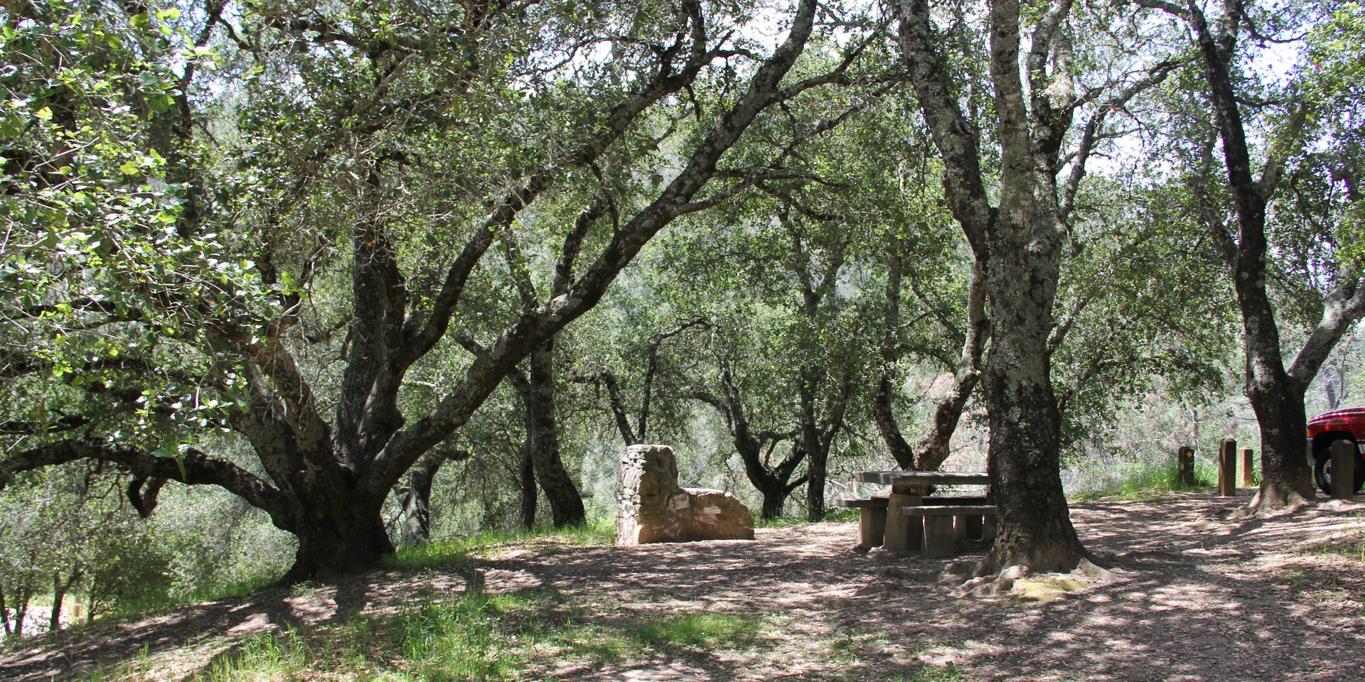 Live Oak Campground (Mount Diablo SP) Campground | All You Need to Know