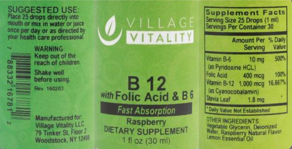 Village Vitality - B 12 with Folic Acid & B 6 Raspberry - SuppCo