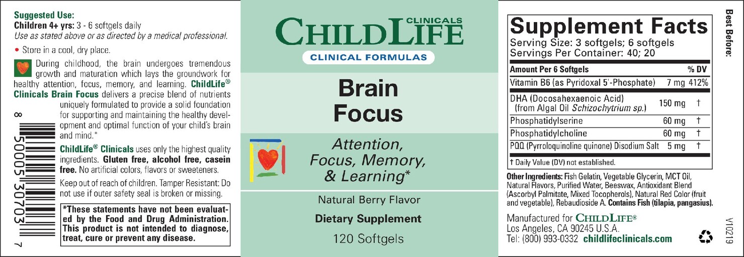 ChildLife Clinicals Clinical Formulas - Brain Focus Natural Berry ...