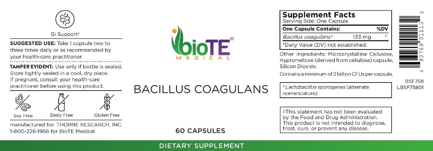 BioTe Medical - Bacillus Coagulans - SuppCo