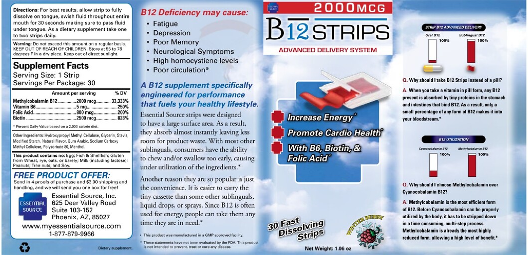 Essential Source - B12 Strips 2000 mcg Winter Berry - SuppCo