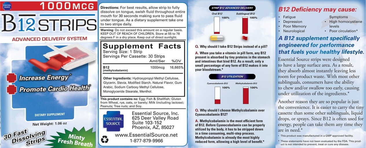 Essential Source - B12 Strips 1000 mcg Minty Fresh Breath - SuppCo