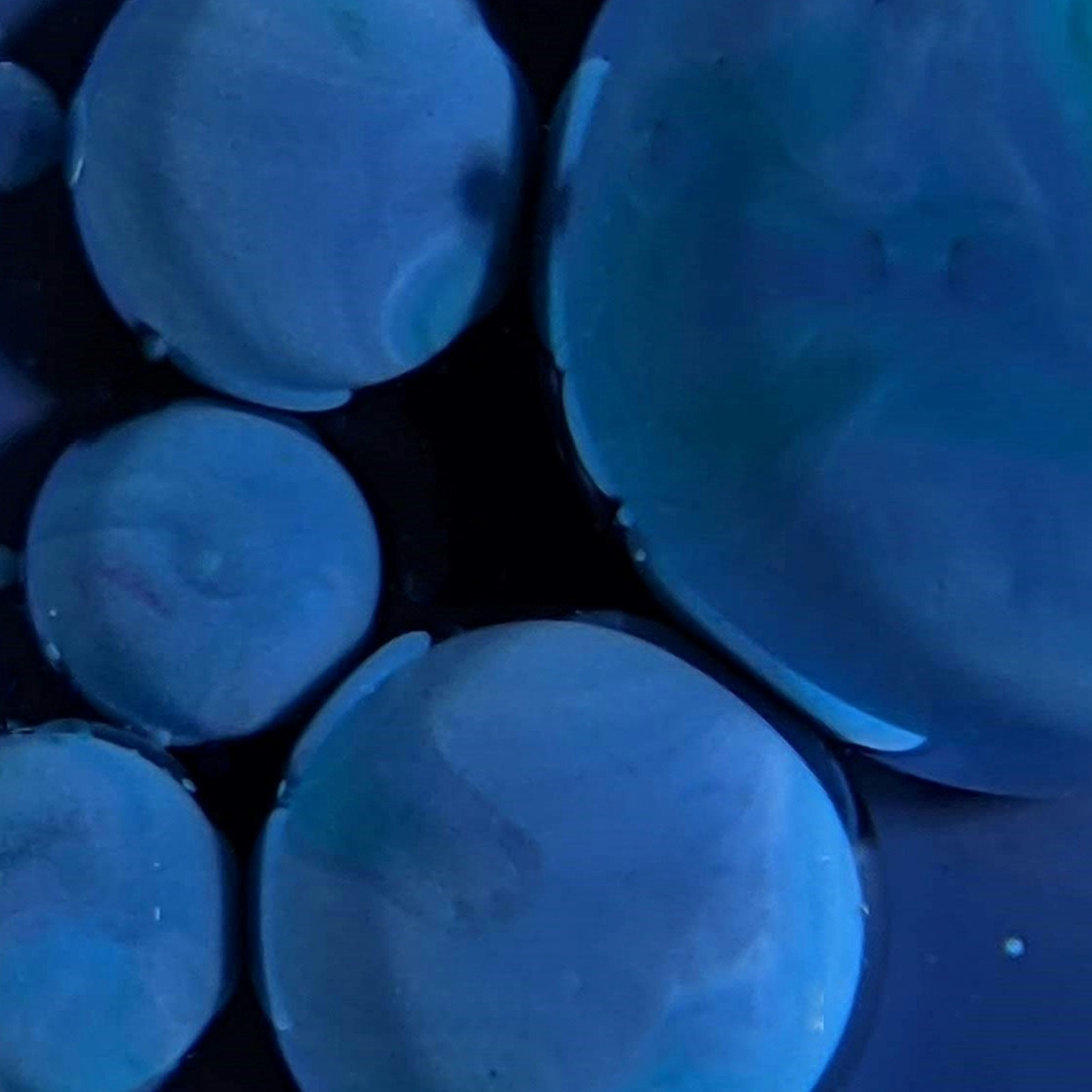 GLP-1 Core Nutrient Support Supplement Protocol - SuppCo