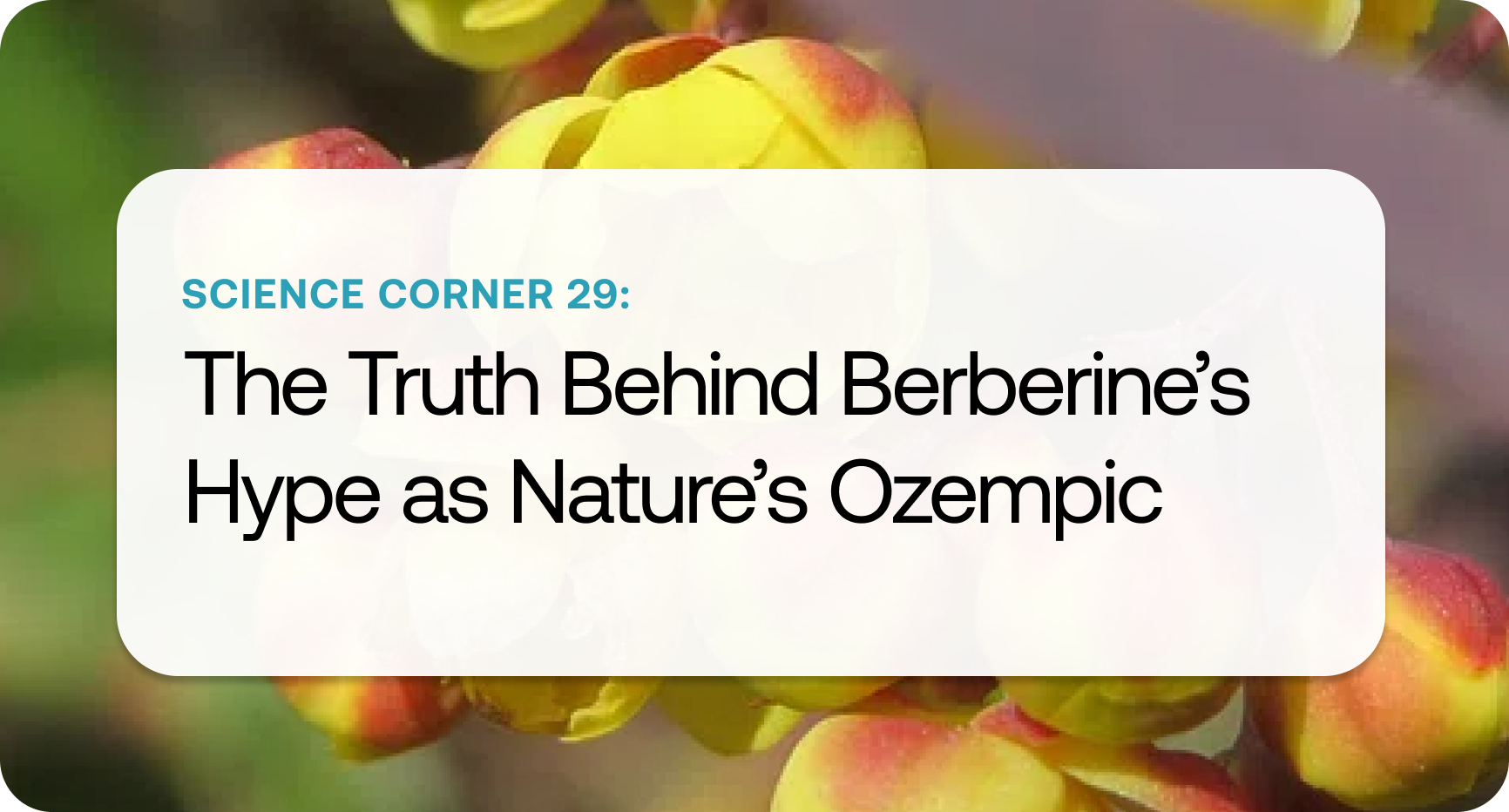 Science Corner 29 | The Truth Behind Berberine’s Hype as Nature’s ...