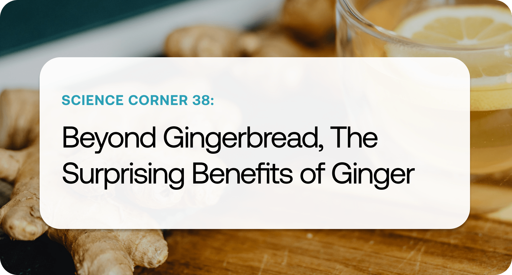 Science Corner 38 | Beyond Gingerbread: The Surprising Benefits of ...