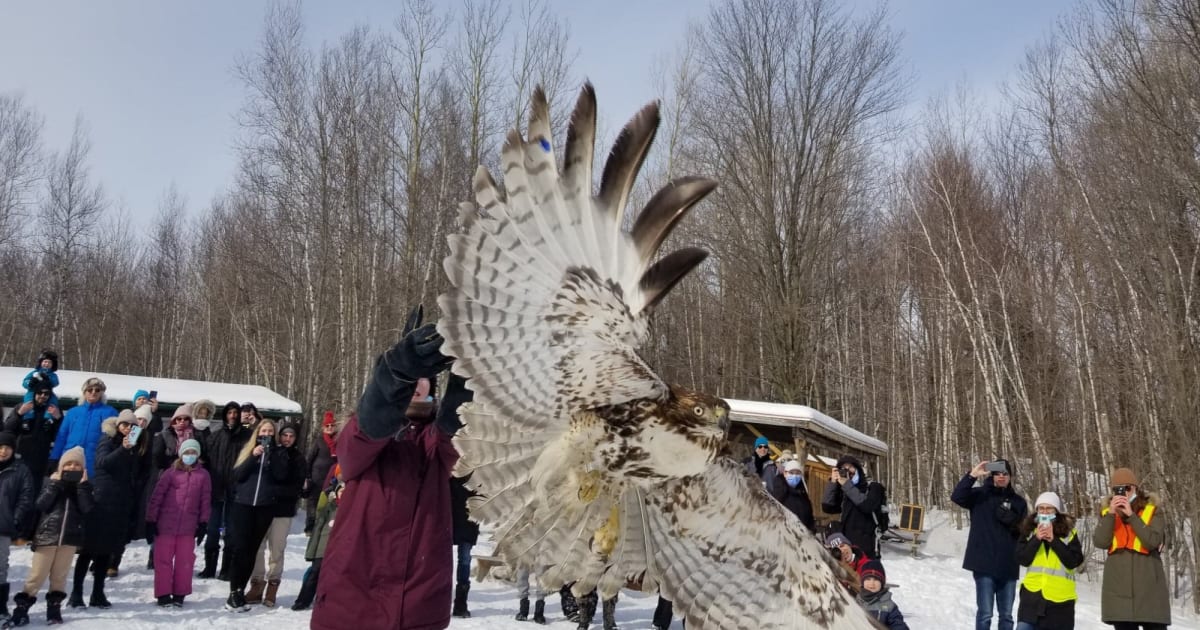 Trois activités à découvrir cet hiver à Saint-Hyacinthe | Québec Vacances