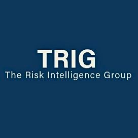 The Risk Intelligence Group | New Security Project
