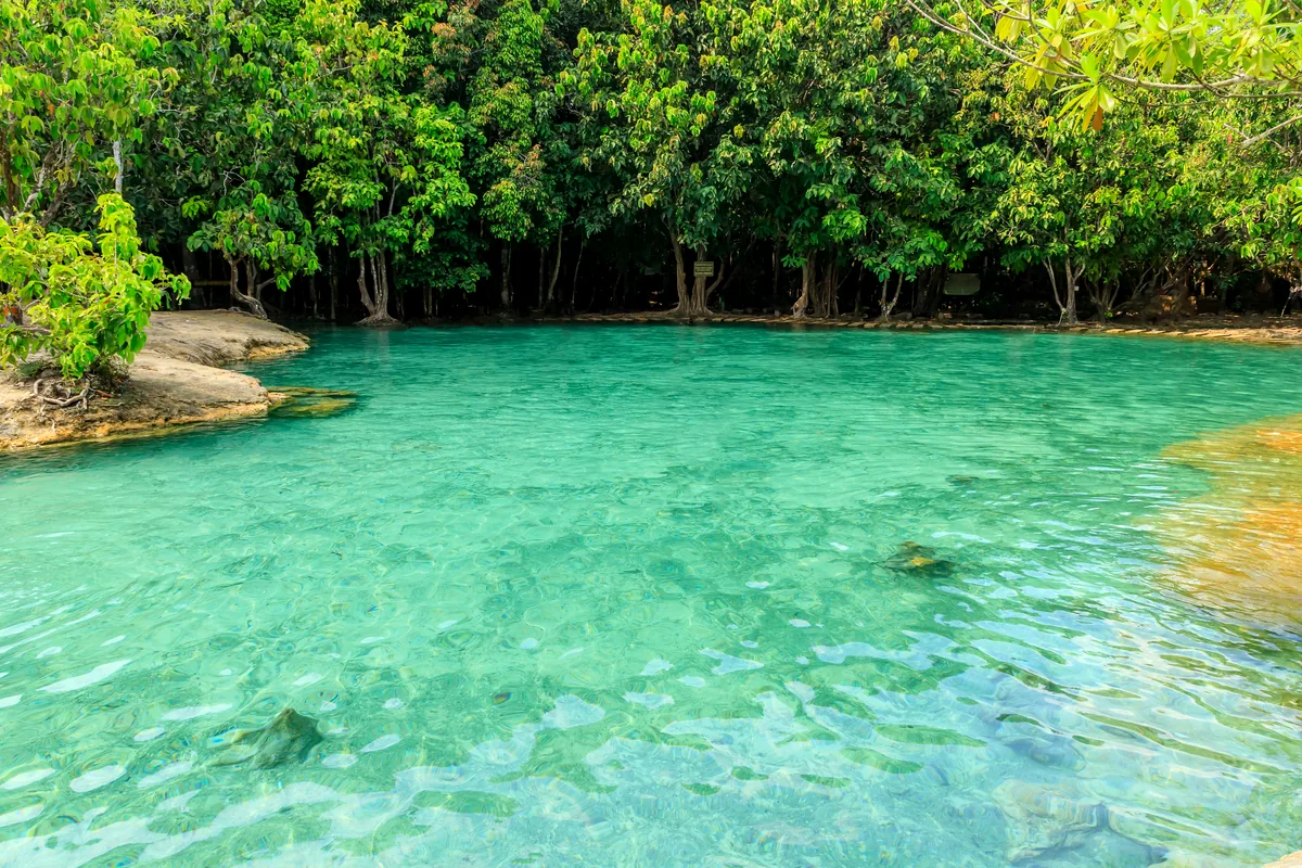 Cenotes de Tulum: guía completa para visitarlos en 2026 - Viva Mexico